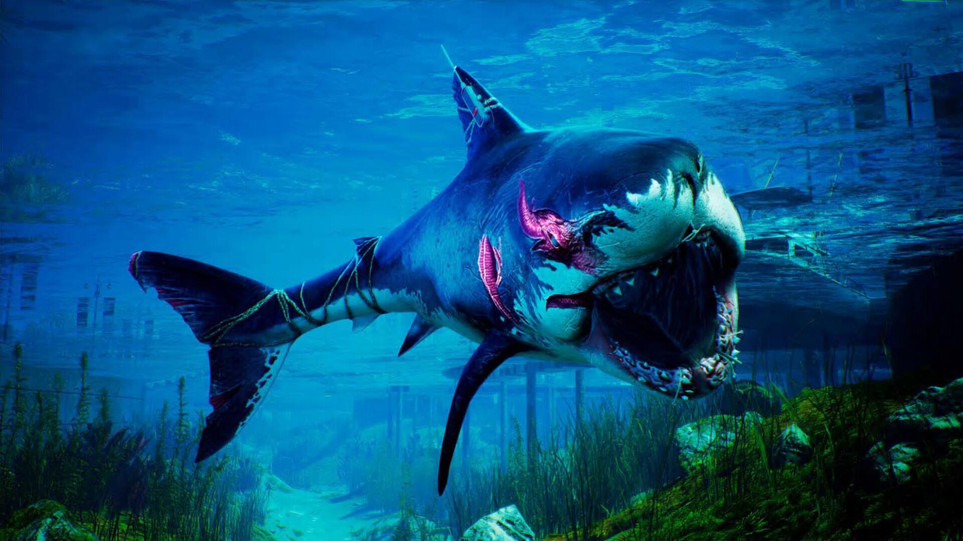 Maneater (Nintendo Switch) - Review | MKAU Gaming