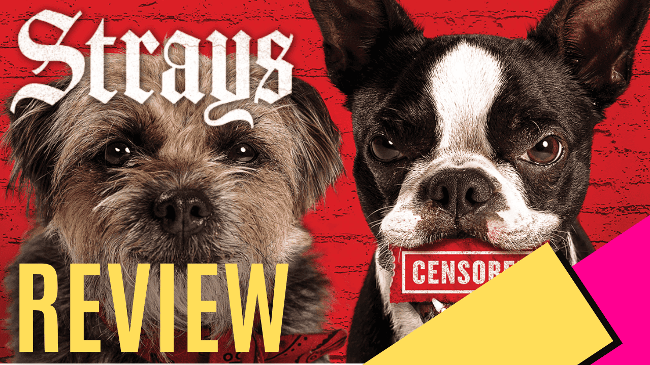 Strays (Movie) - Review | MKAU Gaming